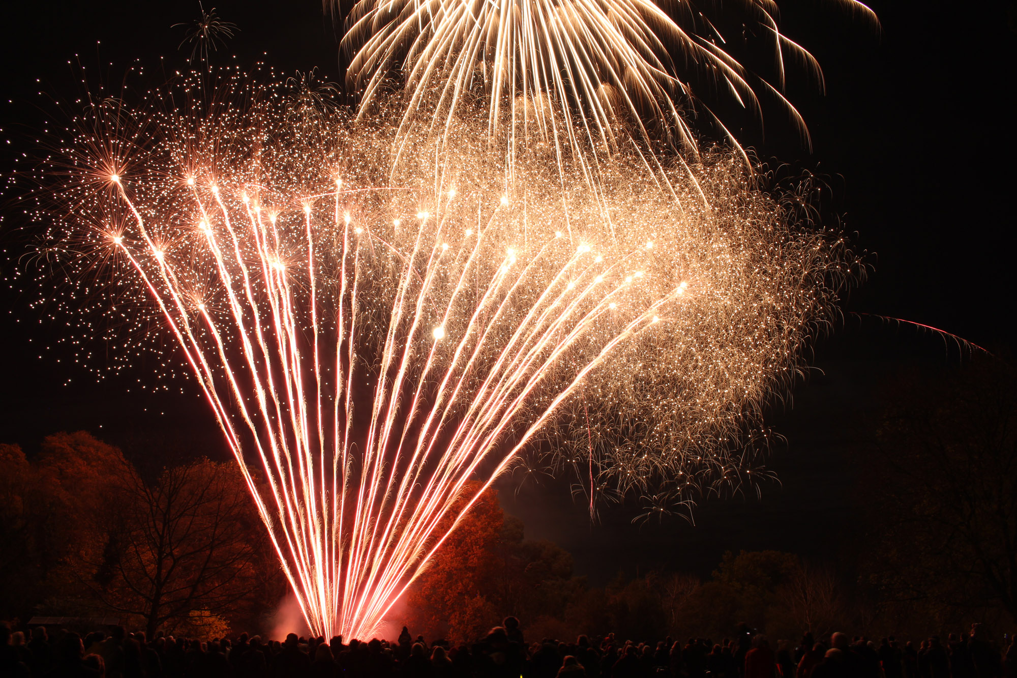 Where to see Fireworks in Surrey - What the Redhead said